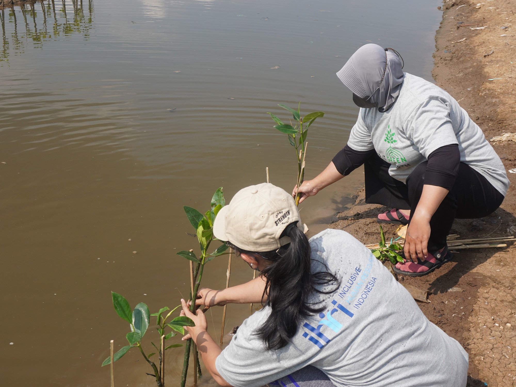 Mangrove Tag Lakukan Pendampingan Penanaman dan Pemantauan 900 Bibit ...