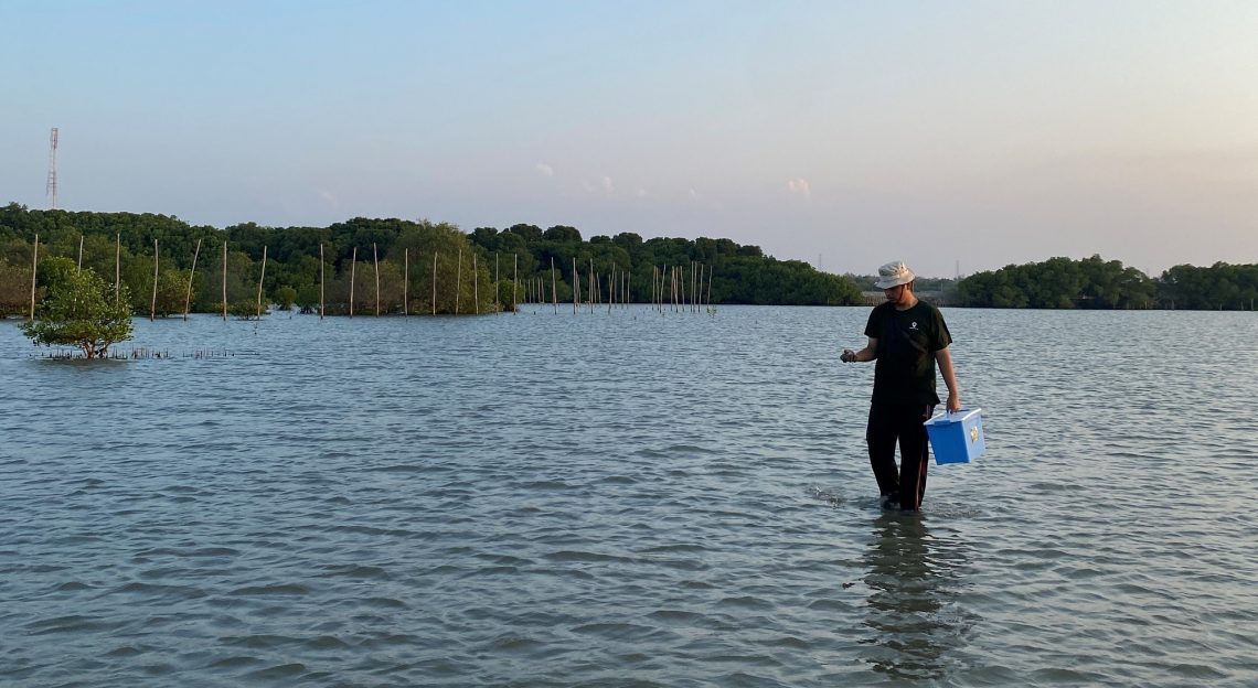 Mangrove Tag Lakukan Survei Pendahuluan Program Penanaman Puluhan Ribu ...