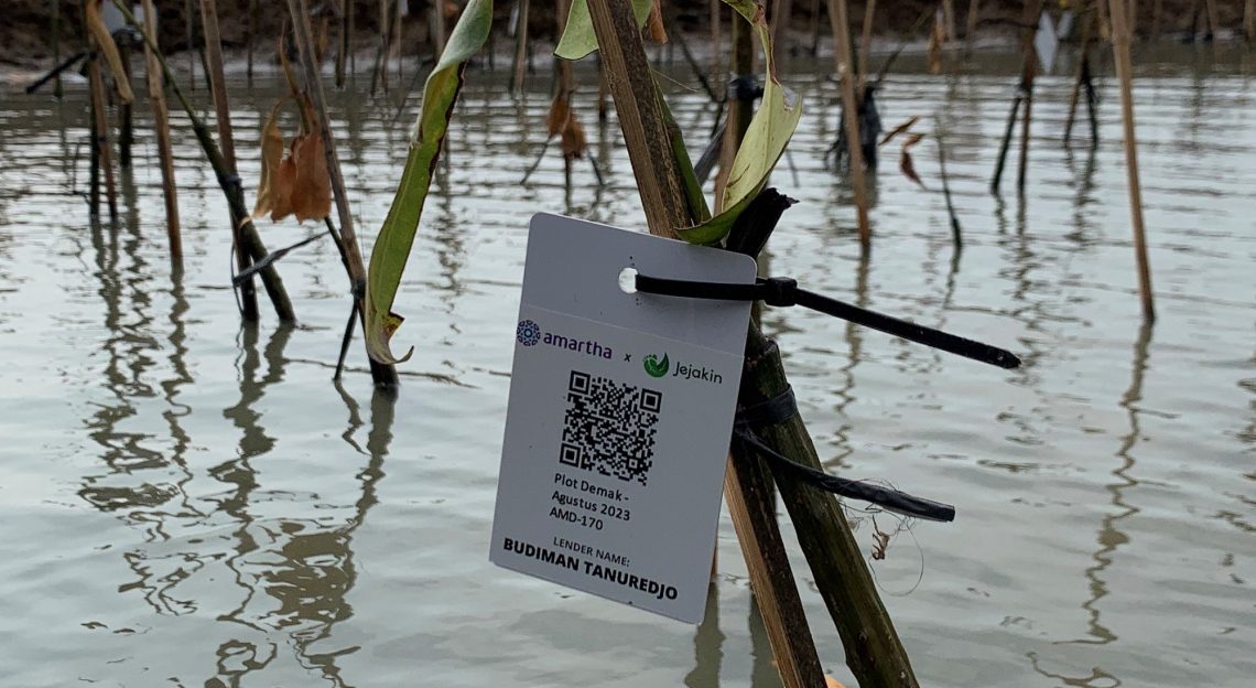 Hapus Jejak Emisi Karbon di Bumi, Mangrove Tag Lakukan Pemantauan 1.000 ...