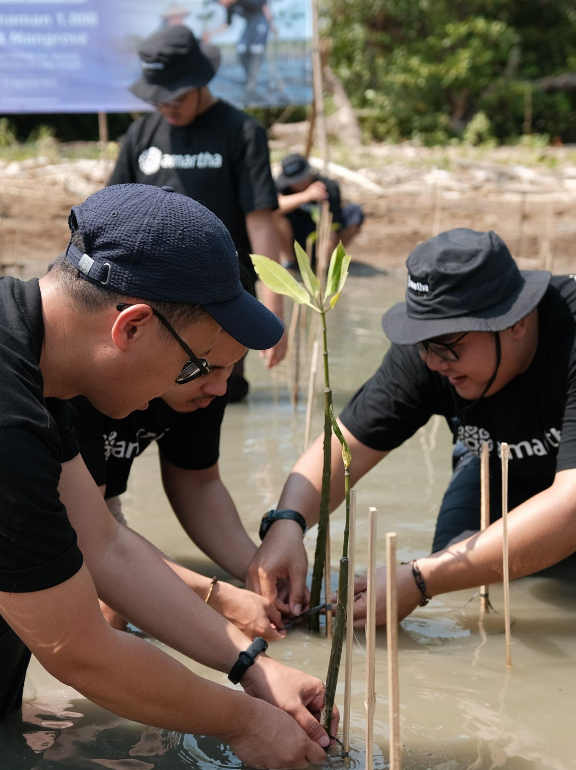Mangrove Tag – Tanam dan Pantau Mangrove Kita!
