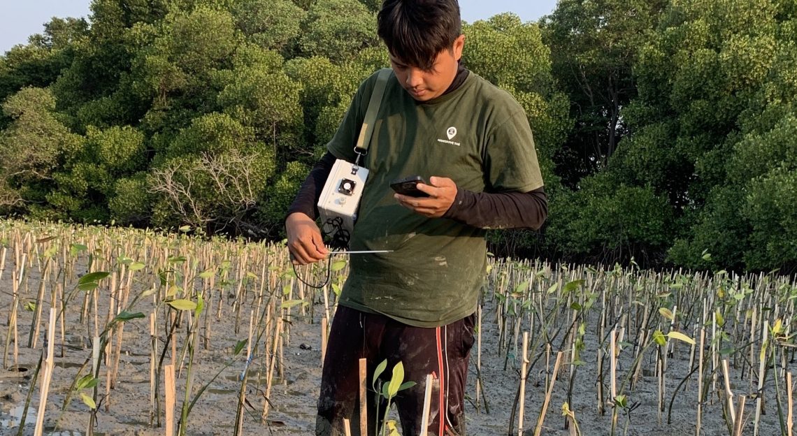 Hapus Jejak Emisi Karbon di Bumi, Mangrove Tag Lakukan Pendampingan ...