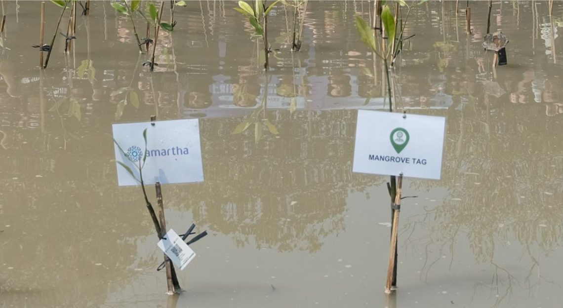 Apakah Mangrove Tag Memiliki Asuransi Terhadap Bibit Mangrove yang ...