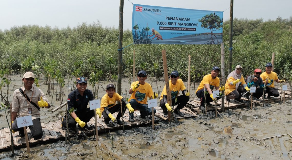 Hapus Jejak Emisi Karbon di Bumi, Mangrove Tag Lakukan Pendampingan ...