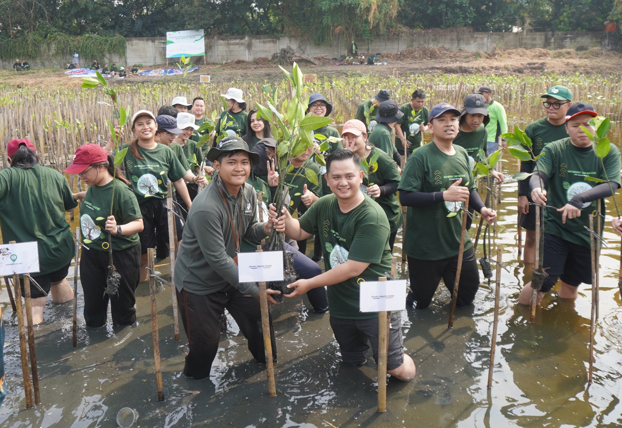 Hapus Jejak Emisi Karbon di Bumi, Mangrove Tag Lakukan Pendampingan ...