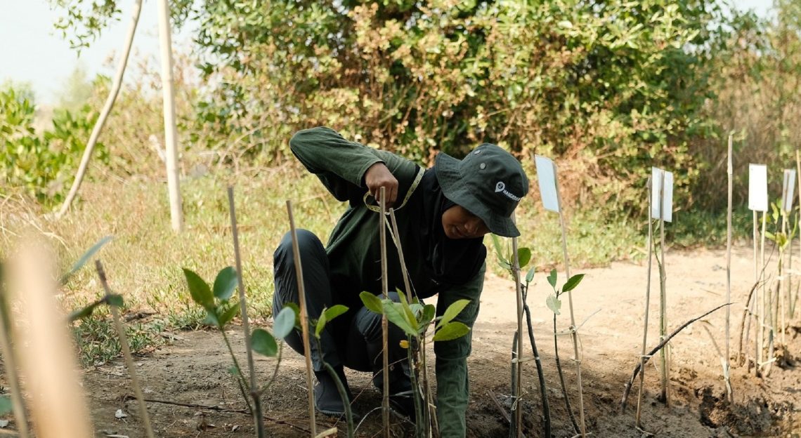 Bisa Hapus Jejak Emisi Karbon di Bumi, Hasil Pemantauan-Mangrove ...