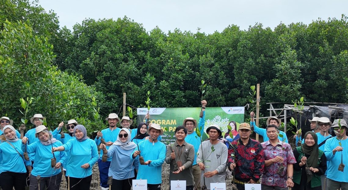 Hapus Jejak Emisi Karbon di Bumi, Mangrove Tag Lakukan Pendampingan ...