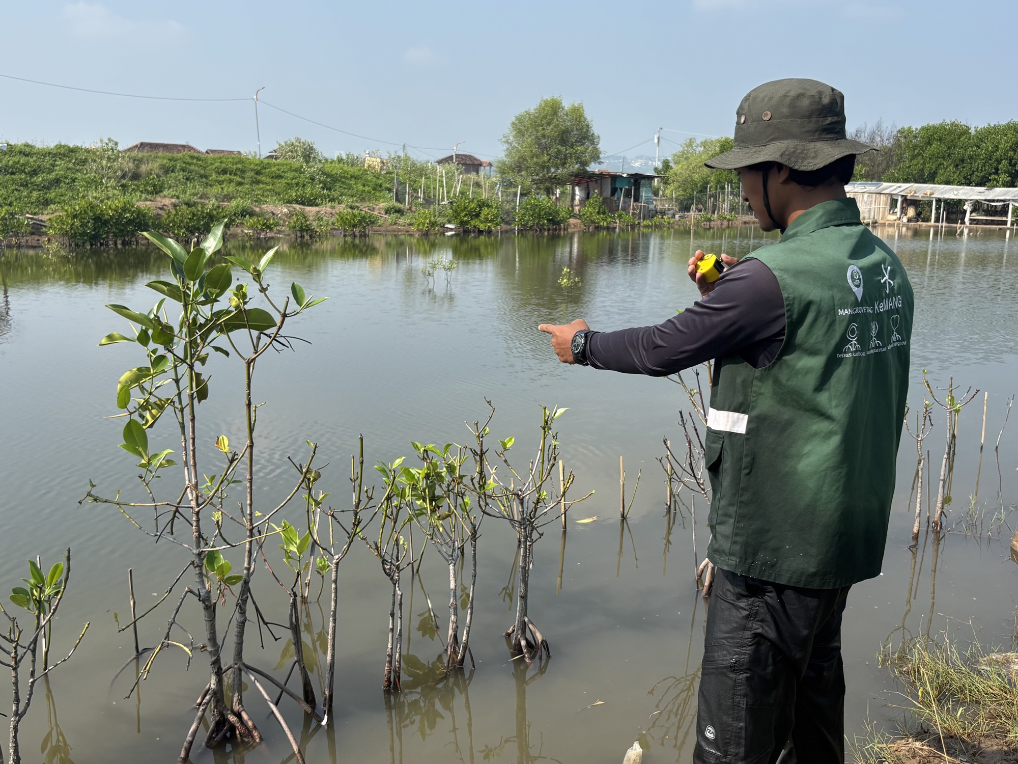 Bisa Hapus Jejak Emisi Karbon di Bumi, Hasil Pemantauan-Mangrove ...