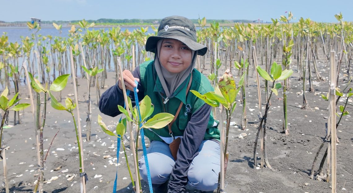 Bisa Hapus Jejak Emisi Karbon di Bumi, Hasil Pemantauan-Mangrove Bulan ...